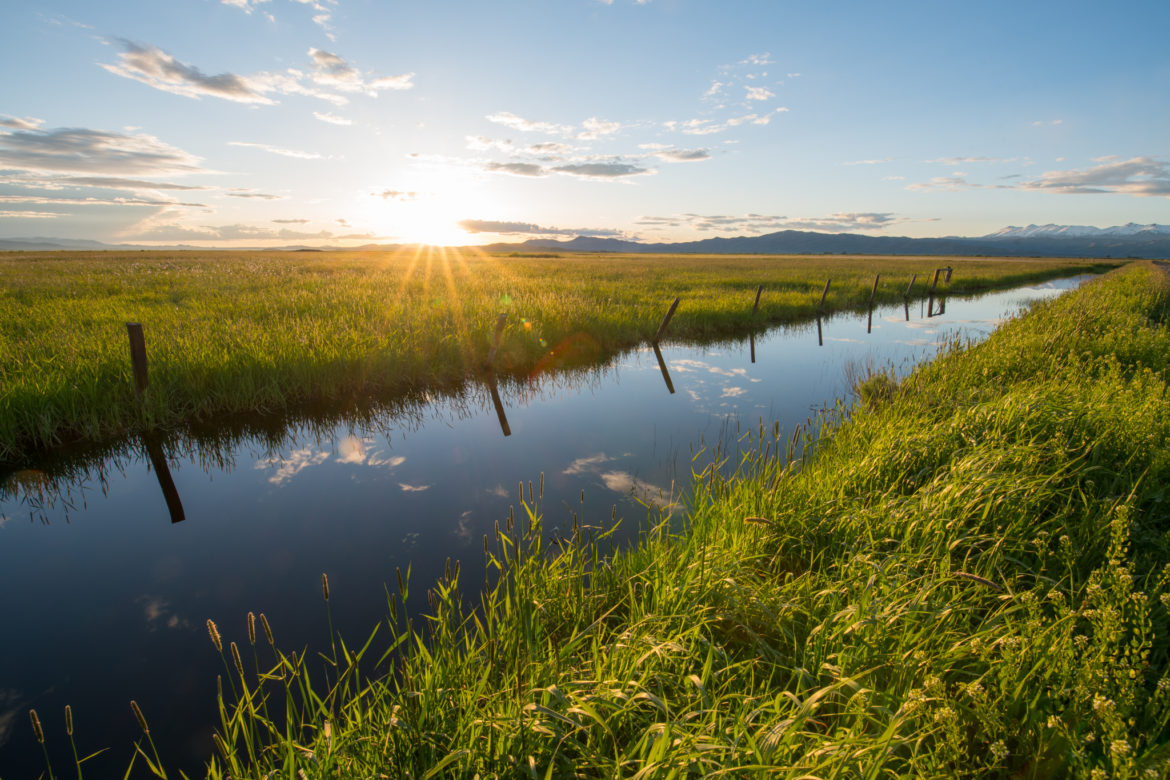 A Spring Day Exploring Idaho's Beautiful Camas Prairie - Michael Bonocore