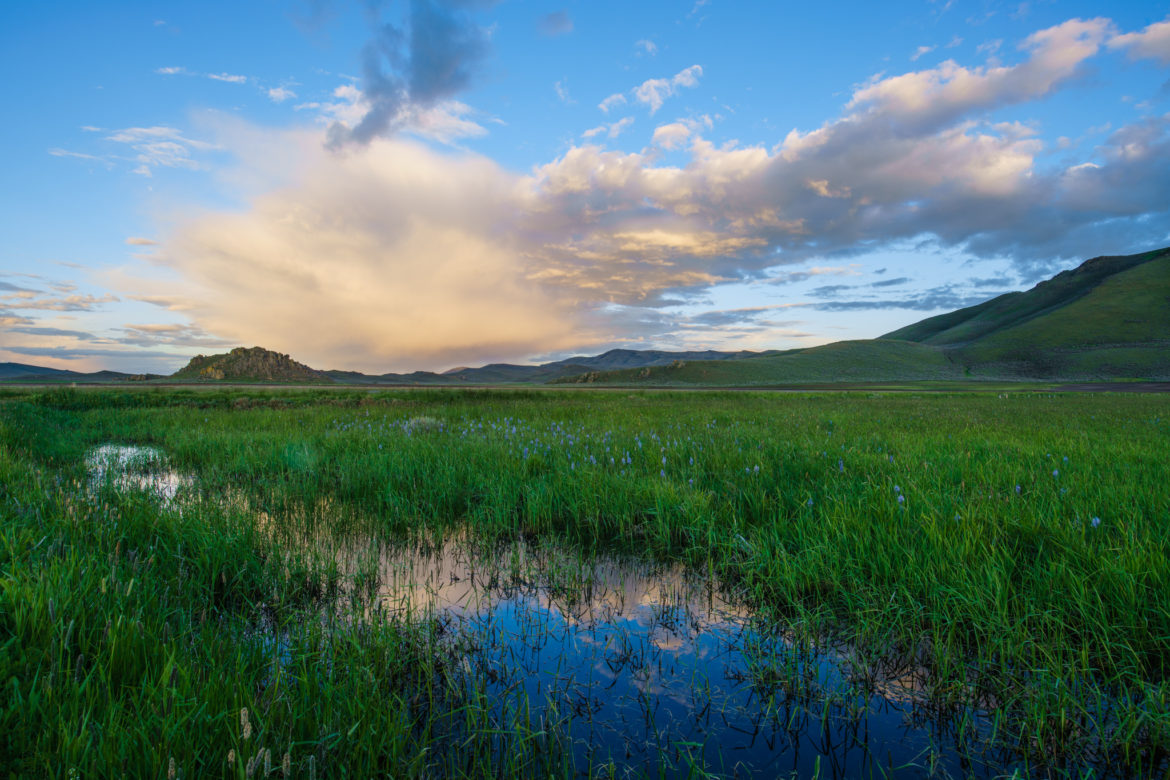 A Spring Day Exploring Idaho's Beautiful Camas Prairie - Michael Bonocore